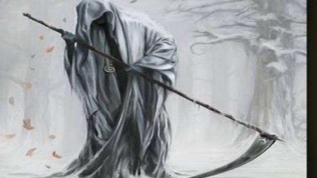 Shinigami | Wiki RPGDBZ