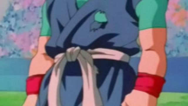 Gokû Jr | Wiki RPGDBZ